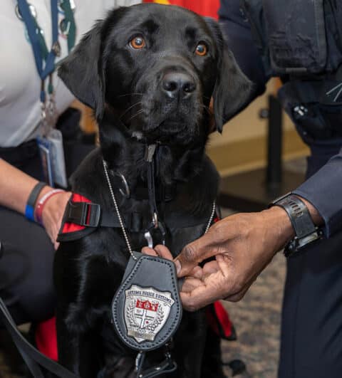 WOUNDED WARRIORS CANADA, IN PARTNERSHIP WITH NATIONAL SERVICE DOGS ...