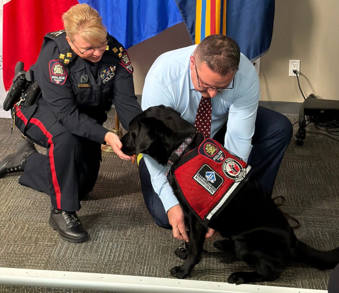 Operational Stress Intervention Dog | Wounded Warriors Canada